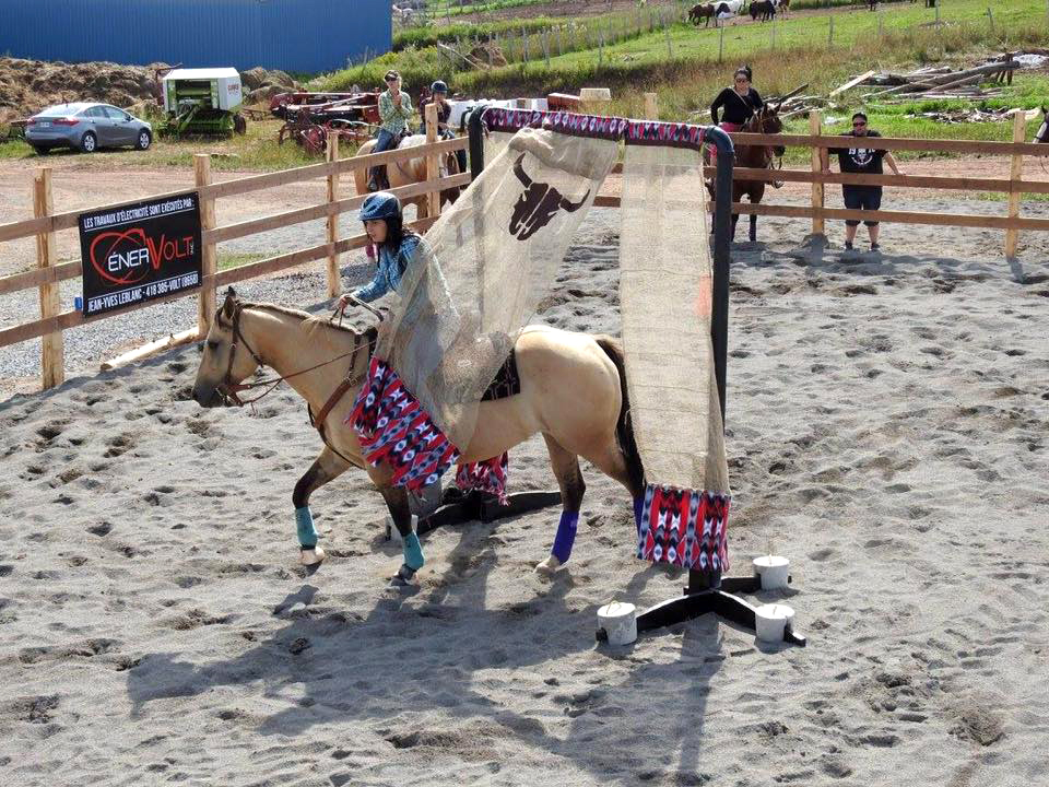 Une histoire de famille pour les Trépanier - Graffici : Graffici